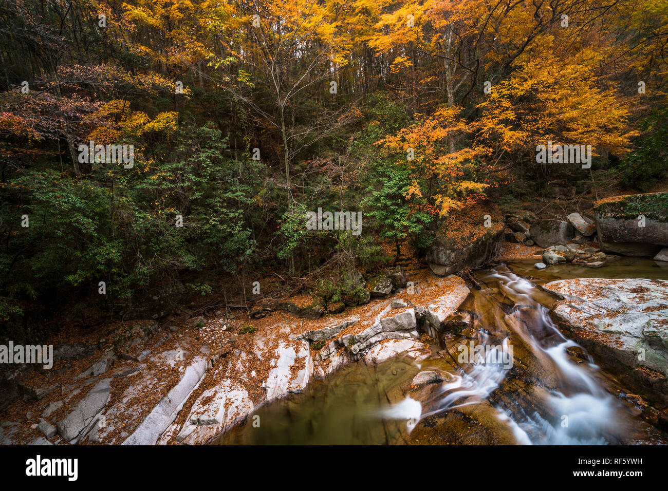 Fall of china hi-res stock photography and images - Alamy