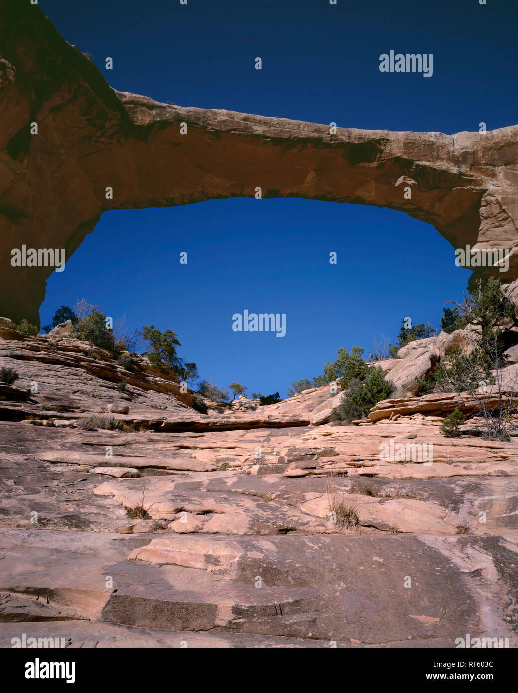 USA, Utah, Natural Bridges National Monument, Owachomo Bridge is ...