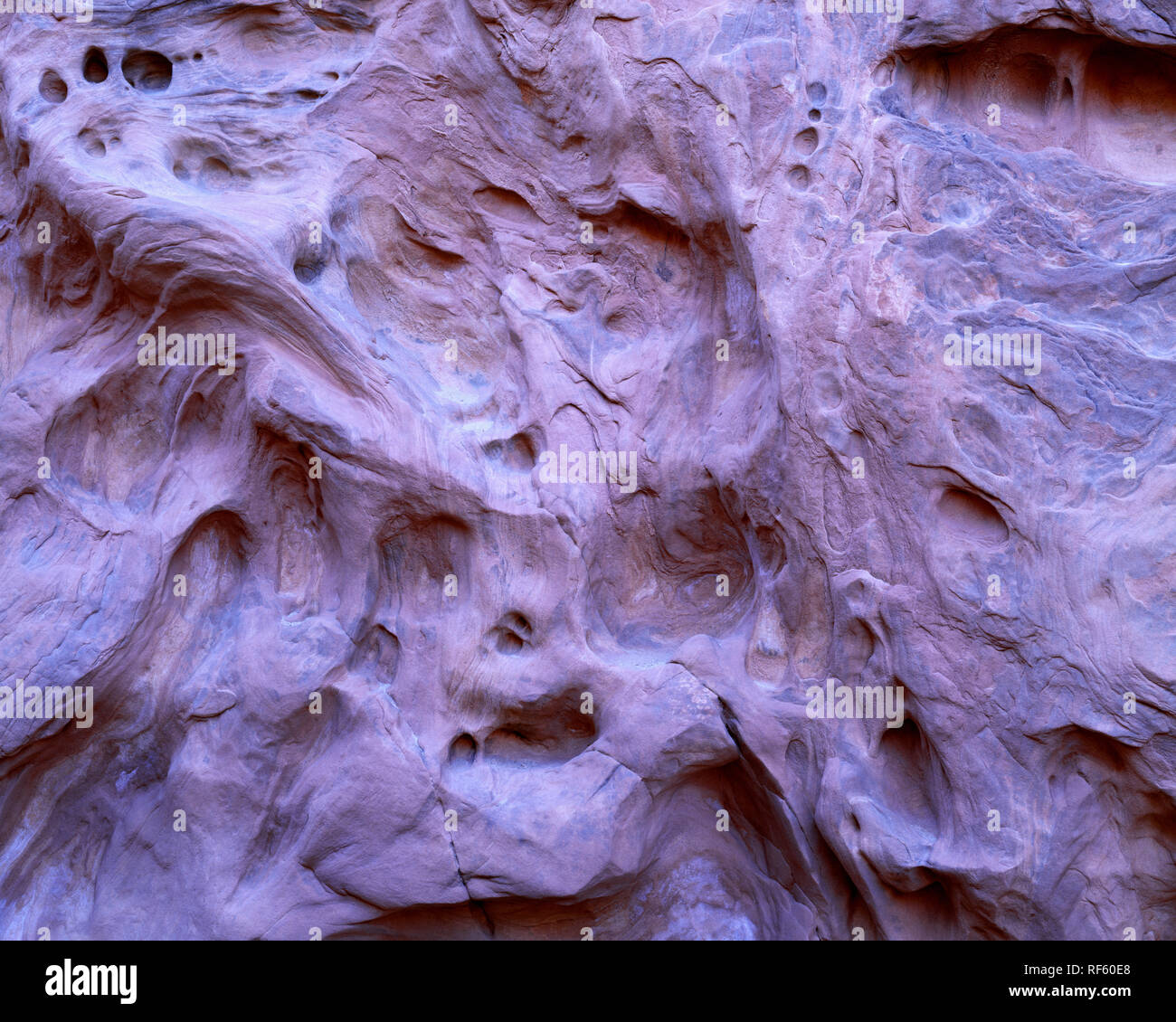 USA, Utah, San Rafael Reef, Water erosion of Wingate and Kayenta ...