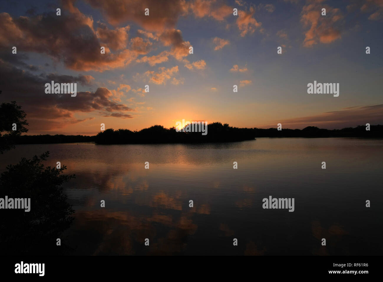Sunset over Paurotis Pond in Everglades National Park, Florida Stock ...