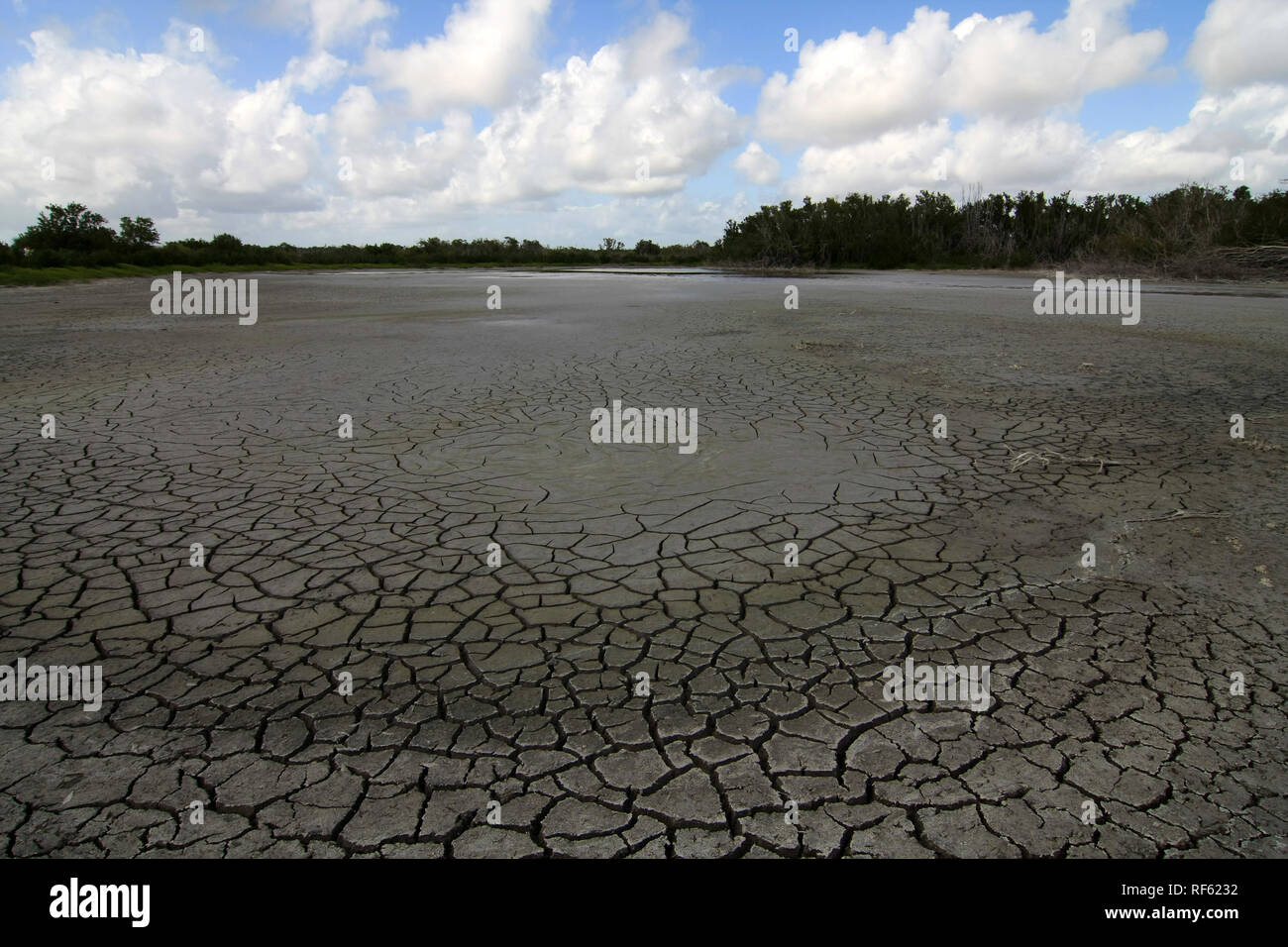 Extreme drought conditions at Eco Pond in Everglades National Park ...