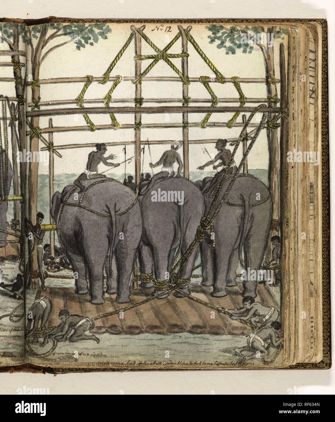 Taming a Wild Elephant in the Temporary Stable, rear view. Draughtsman ...
