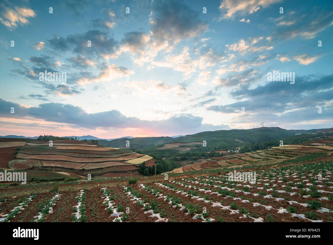 farmland, landscape in yunnan china Stock Photo - Alamy