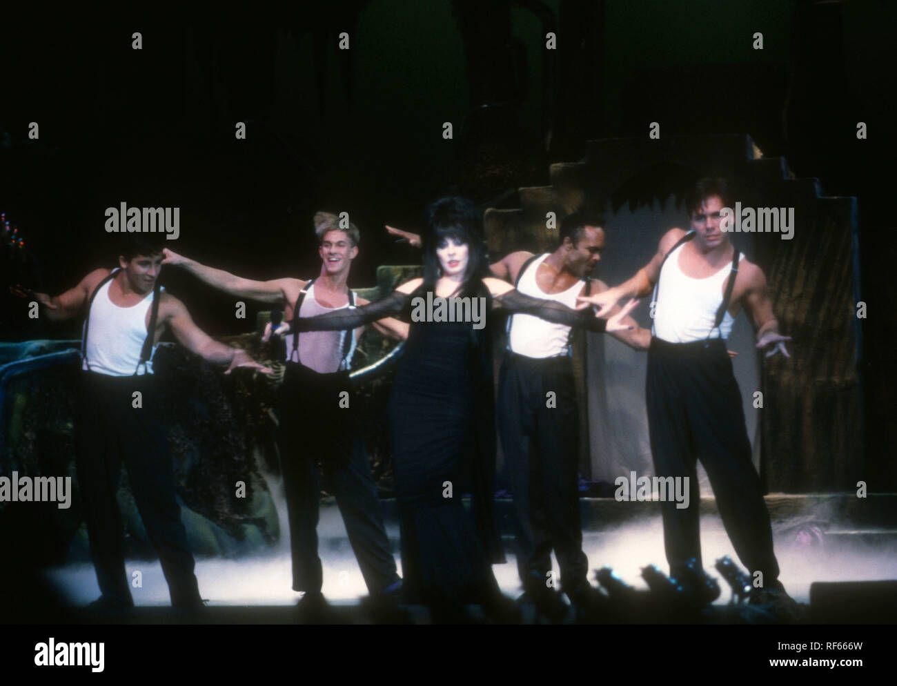 Elvira Cassandra Peterson Actress Elvira High Resolution Stock ...