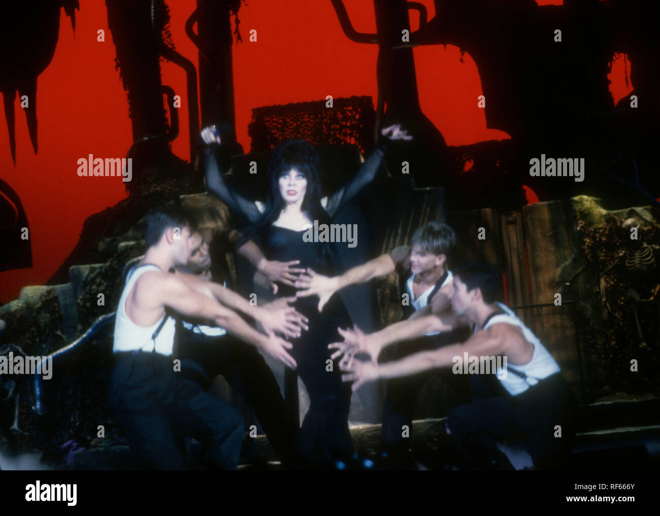 Elvira Cassandra Peterson Actress Elvira High Resolution Stock ...