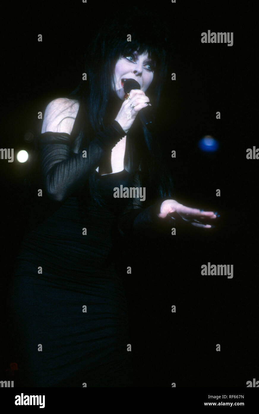 Elvira Mistress Of The Dark Stock Photos & Elvira Mistress Of The Dark ...