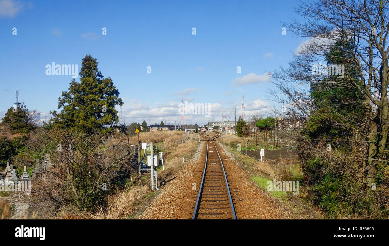 Empty tramway rail tracks, with green trees and grass around Stock ...