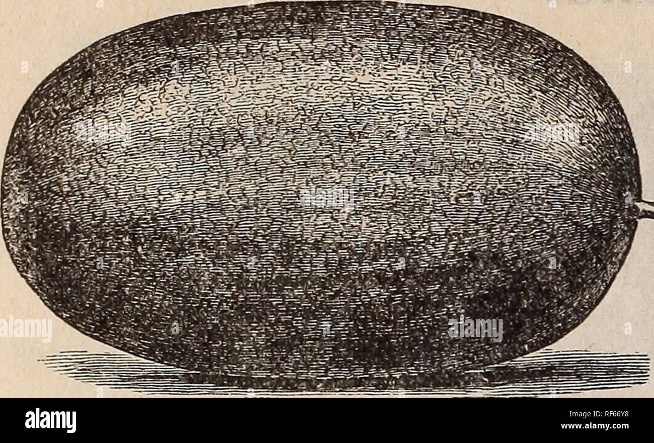 . Pacific Seed Company 1902. Nursery stock California Sacramento ...