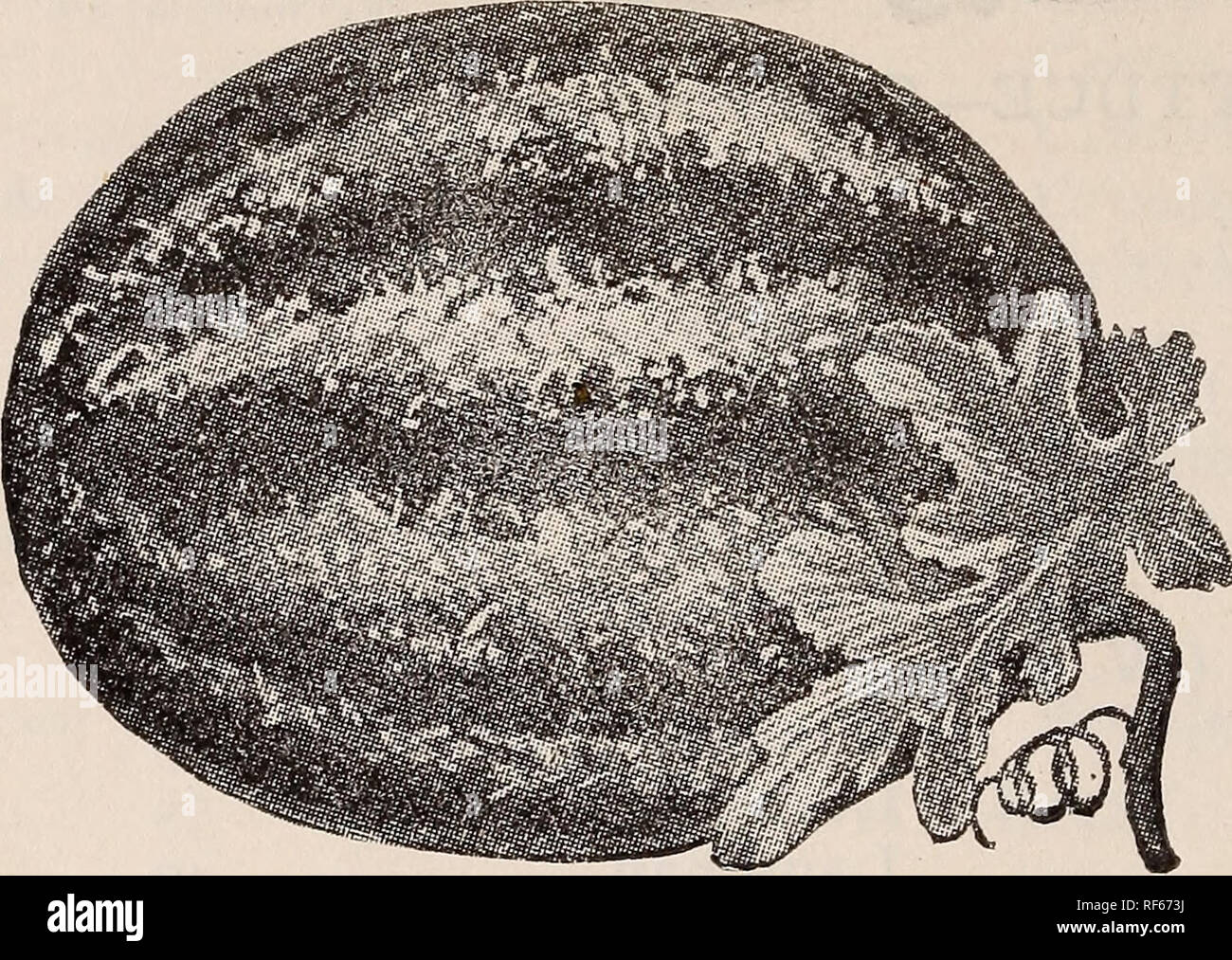 10 mani flower hi-res stock photography and images - Alamy