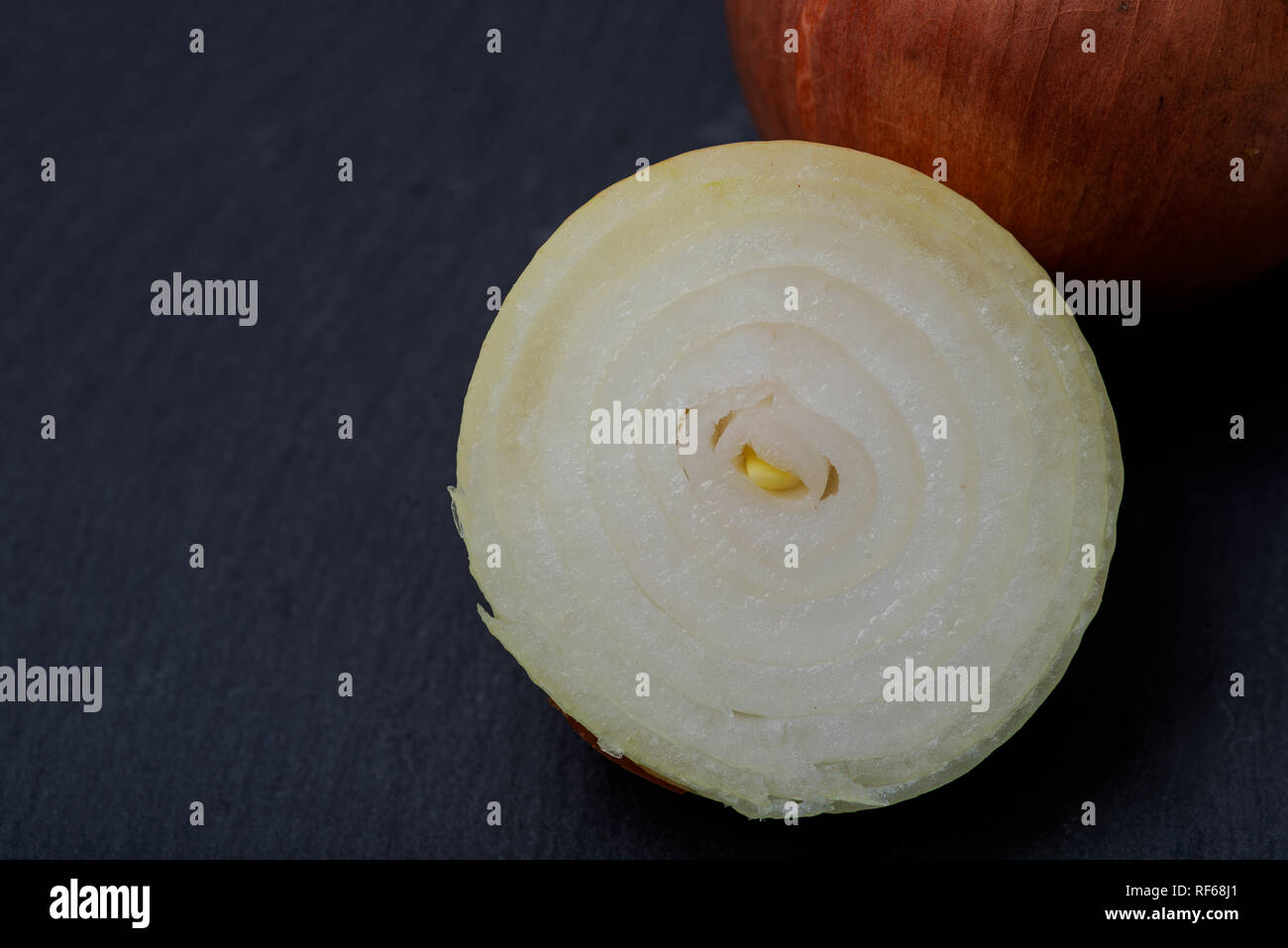 Fresh organic cut in half onion with sprout on natural stone background ...