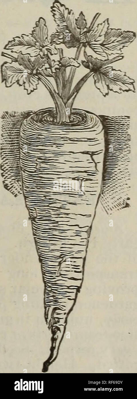 . [Catalogue]. Nursery stock Virginia Alexandria Catalogs; Vegetables ...