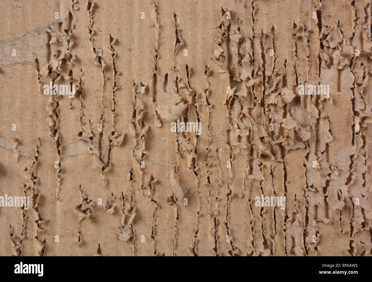 ripped and scratch corrugated paper sheet Stock Photo - Alamy