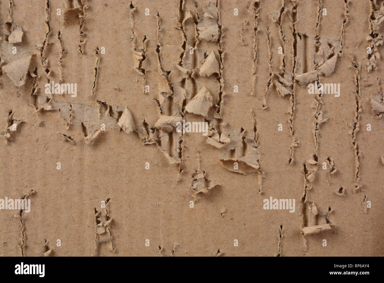 ripped and scratch corrugated paper sheet Stock Photo - Alamy