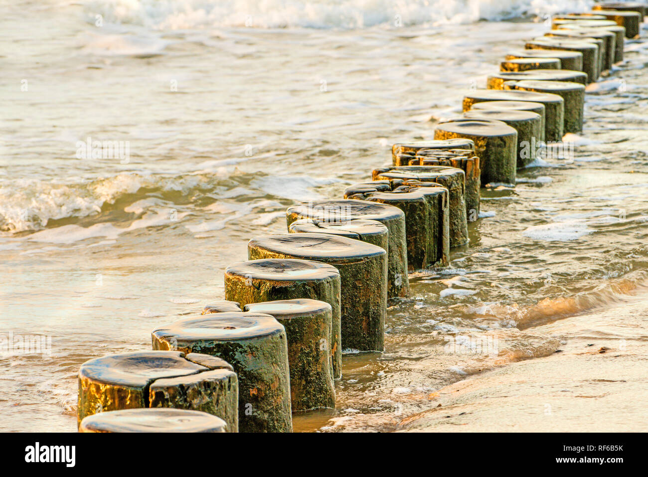 groins in the Baltic Sea Stock Photo - Alamy