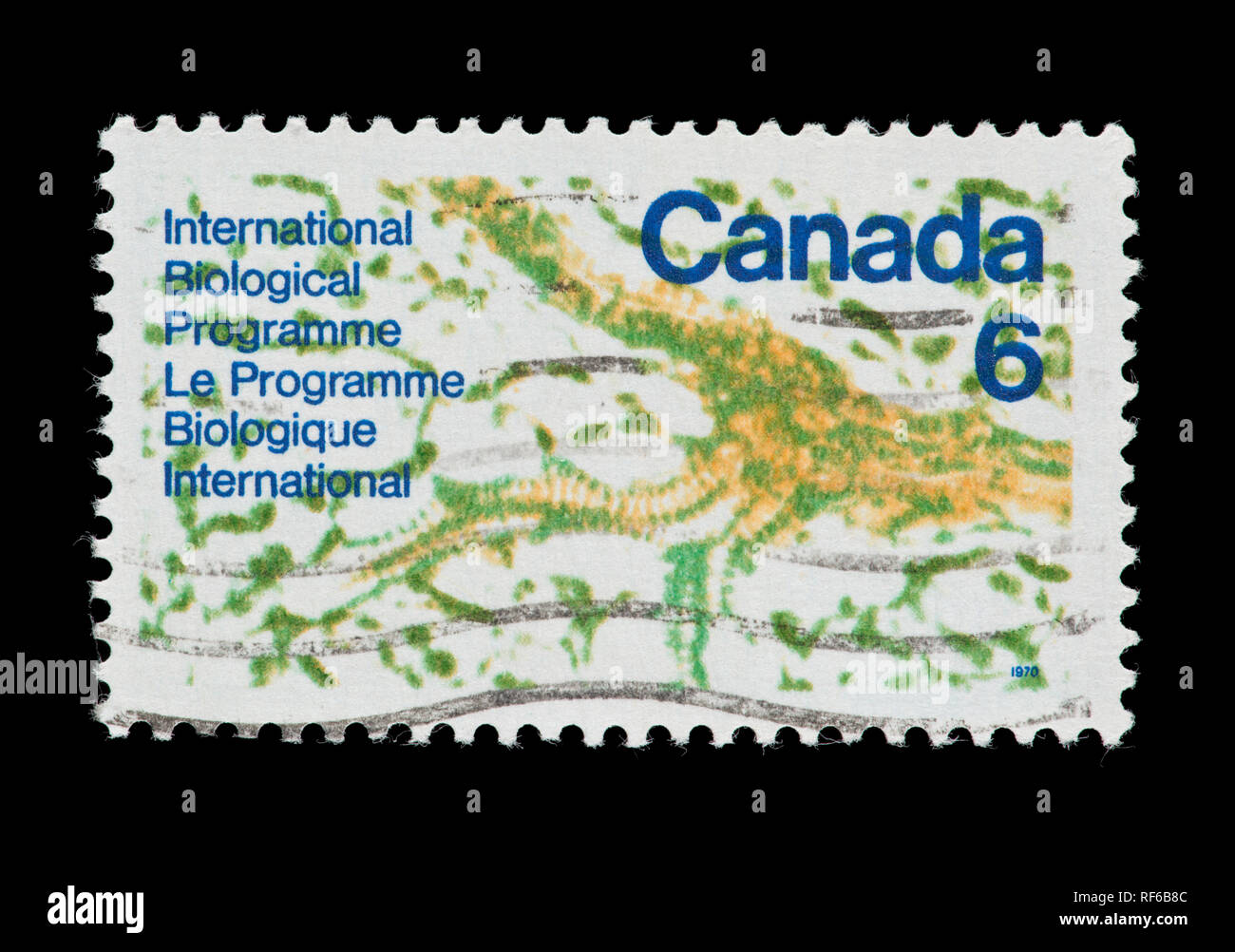 International biological program hi-res stock photography and images ...