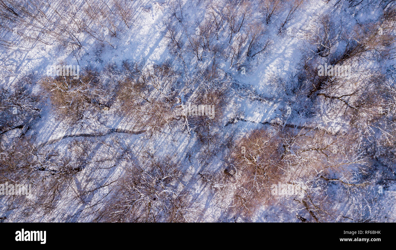Aerial view of the little brook through a winter forest trees Stock ...