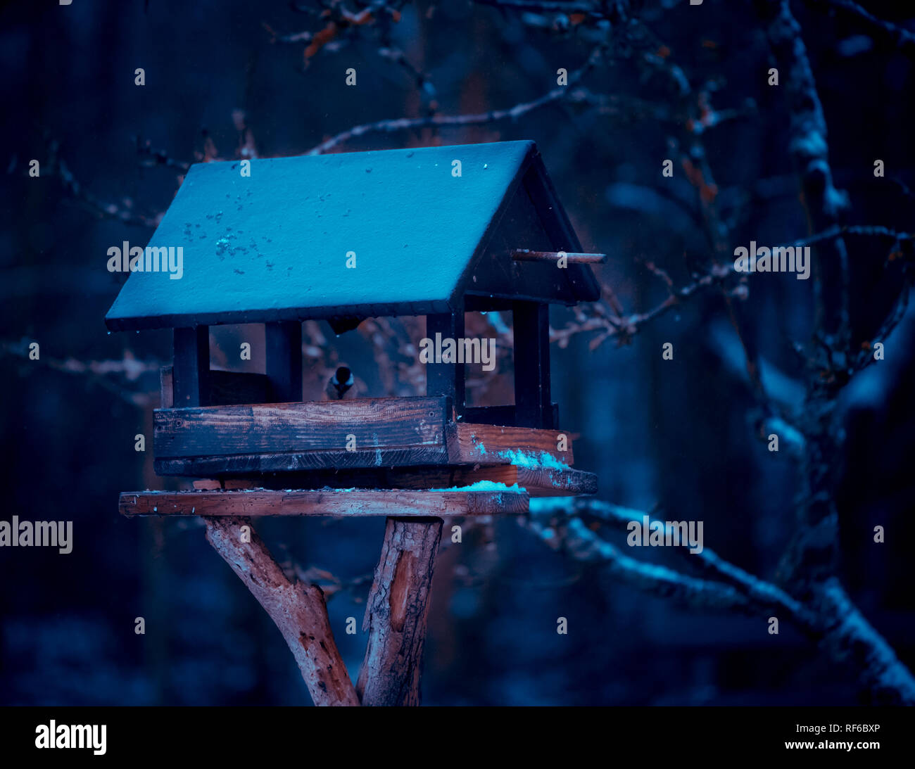 Outdoor bird house in winter Stock Photo - Alamy