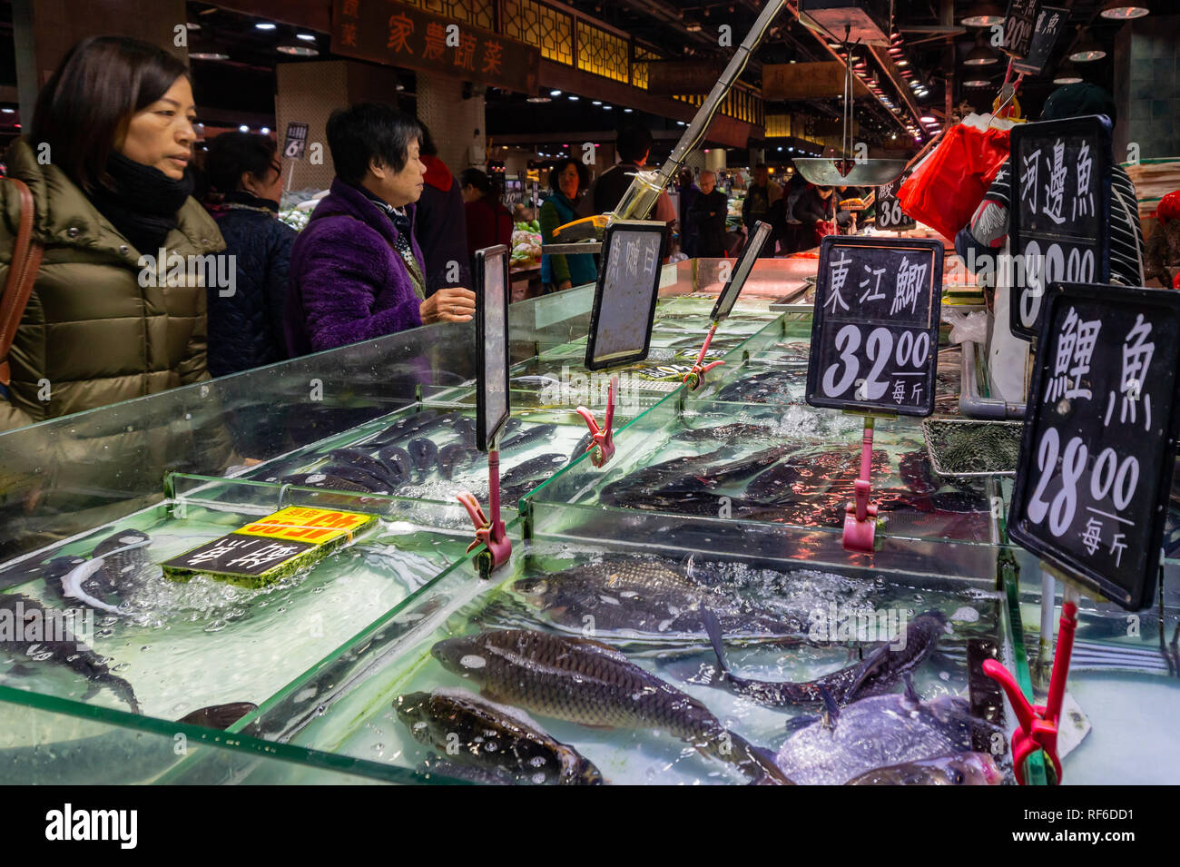 Hong Kong, DEC 31: Many fish selling in the Hong Kong Market - Yat Tung ...