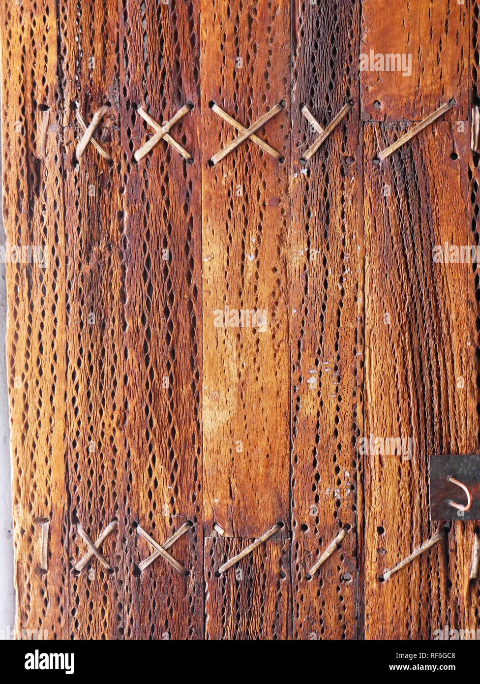 Textures of dry cactus woods. In northern Argentina cactus wood are ...