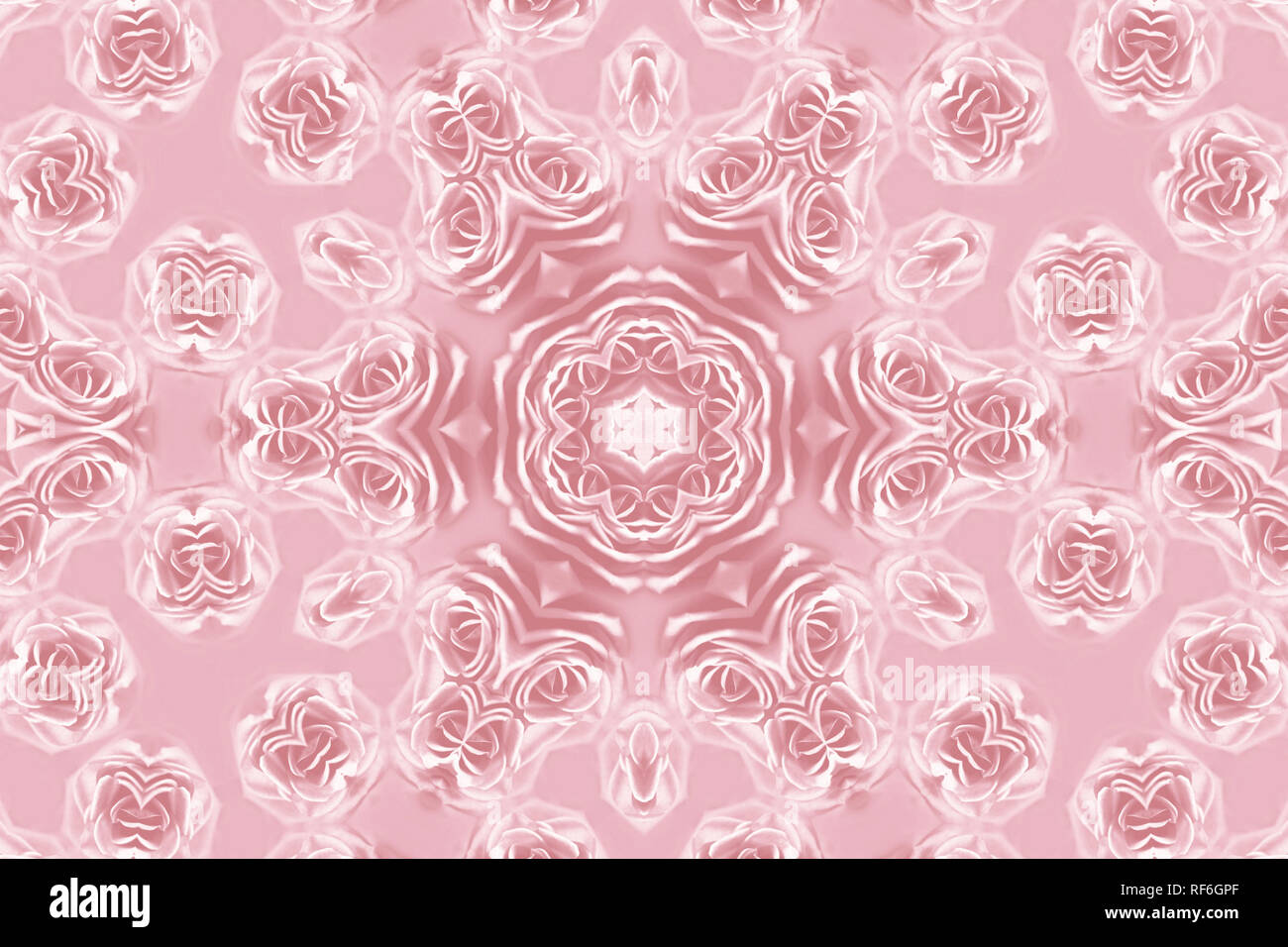 Pink pattern with natural flowers of rose Stock Photo - Alamy