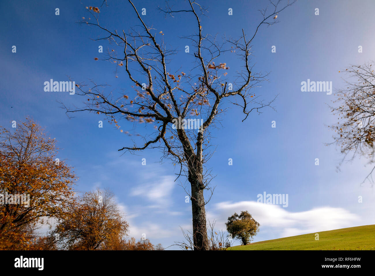 Paisley skyline hi-res stock photography and images - Alamy