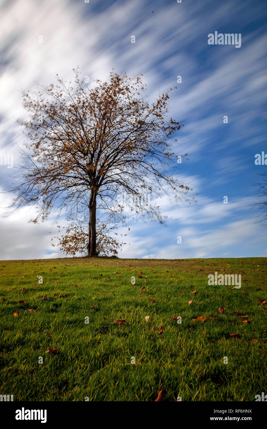 Hilltop Skyline Trees Stock Photo - Alamy