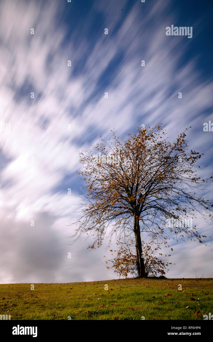 Paisley skyline hi-res stock photography and images - Alamy