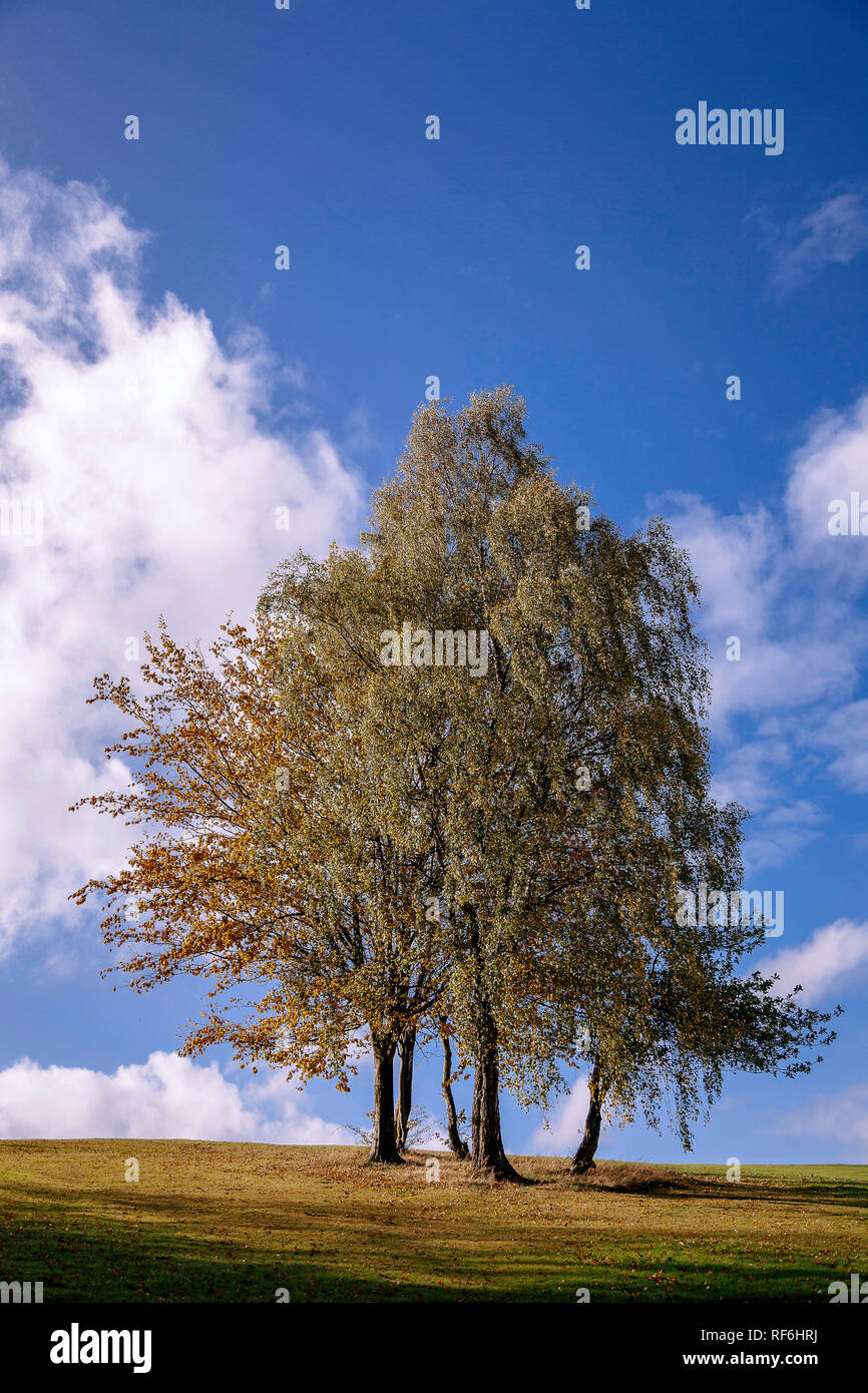 Paisley skyline hi-res stock photography and images - Alamy