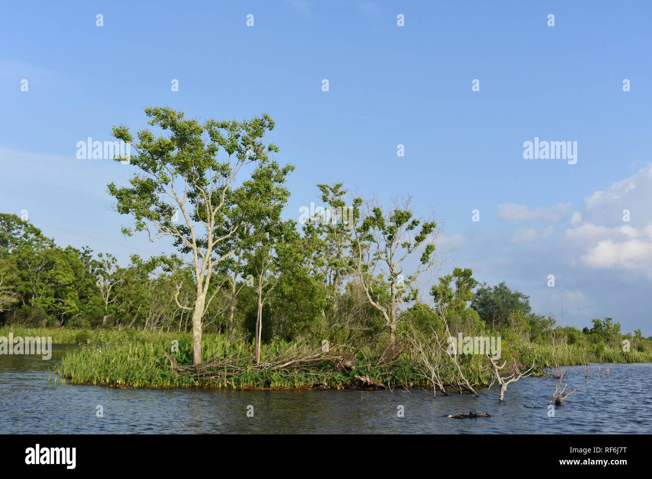 Winding riverways hi-res stock photography and images - Alamy