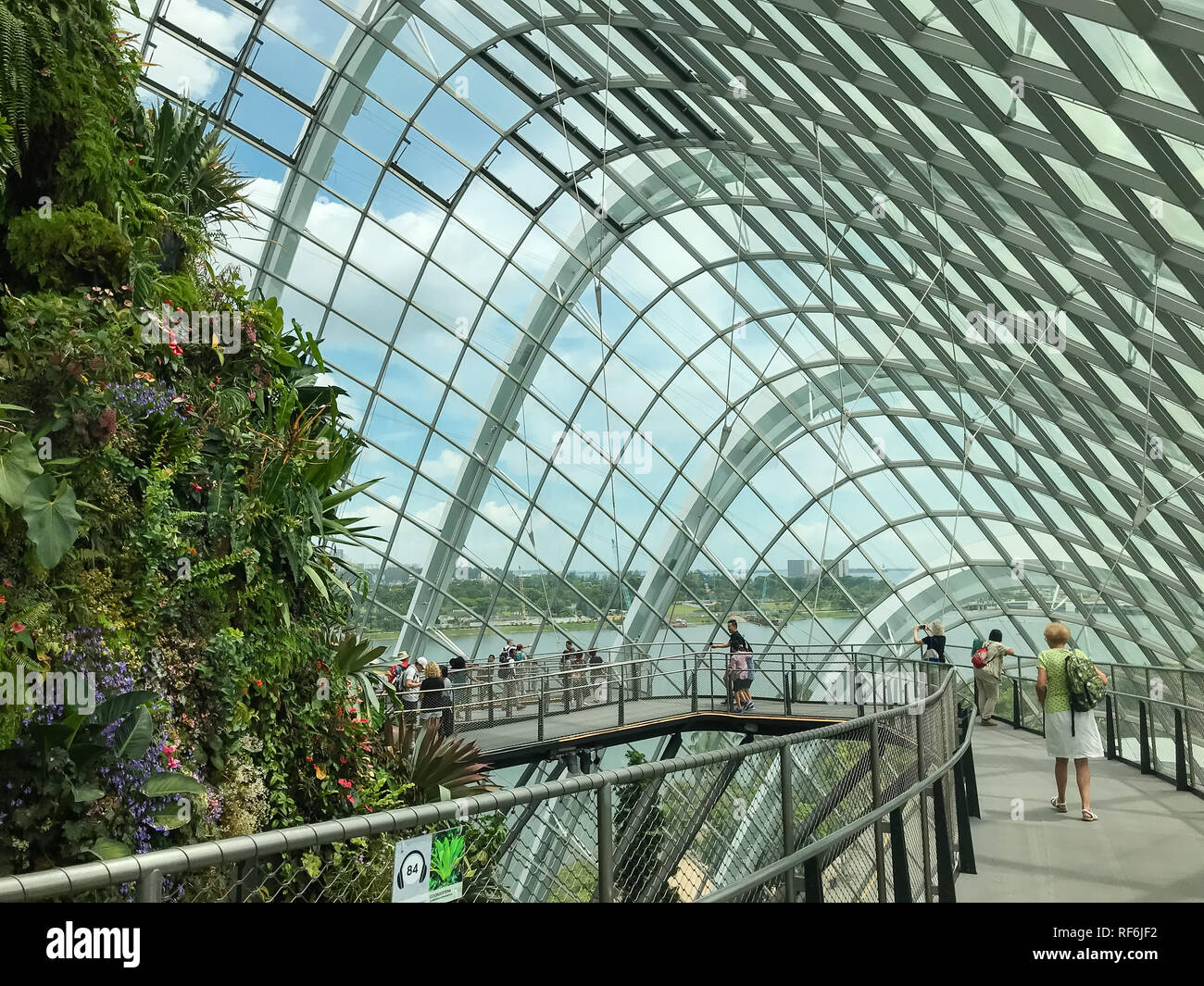 A walkway in Cloud Forest at Gardens by the Bay in Singapore Stock ...