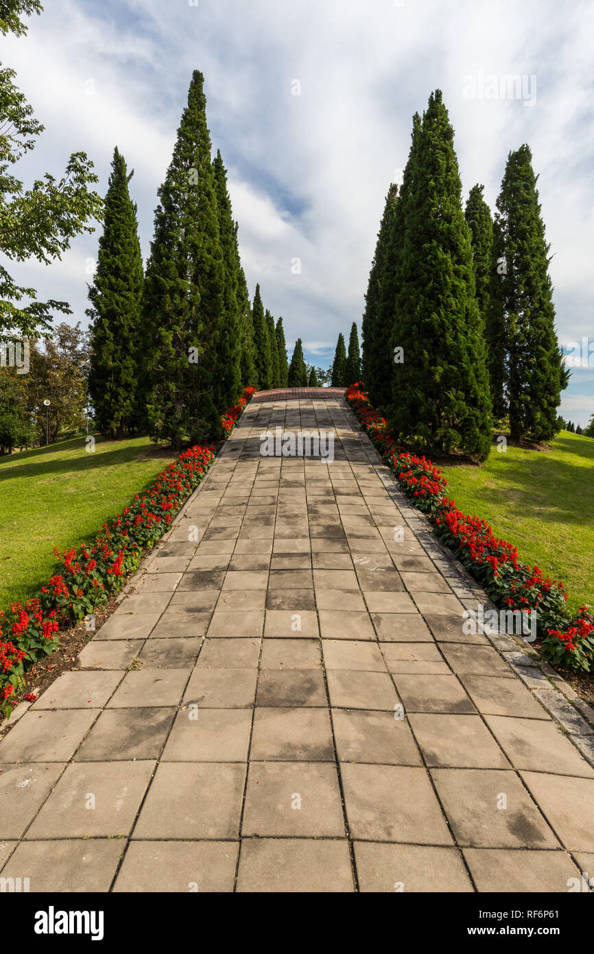 Royal pathway hi-res stock photography and images - Alamy