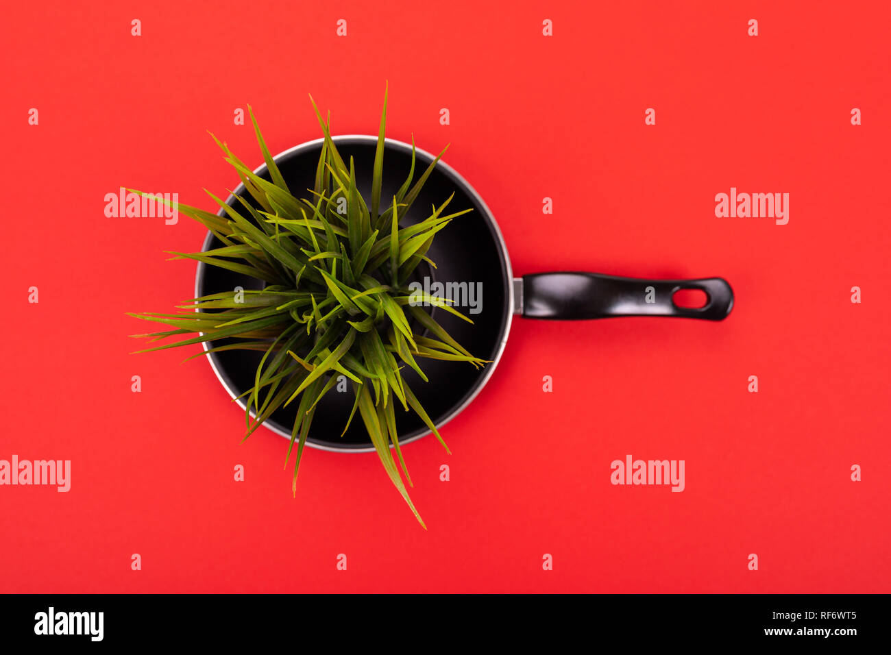 Flower pot stands hi-res stock photography and images - Alamy