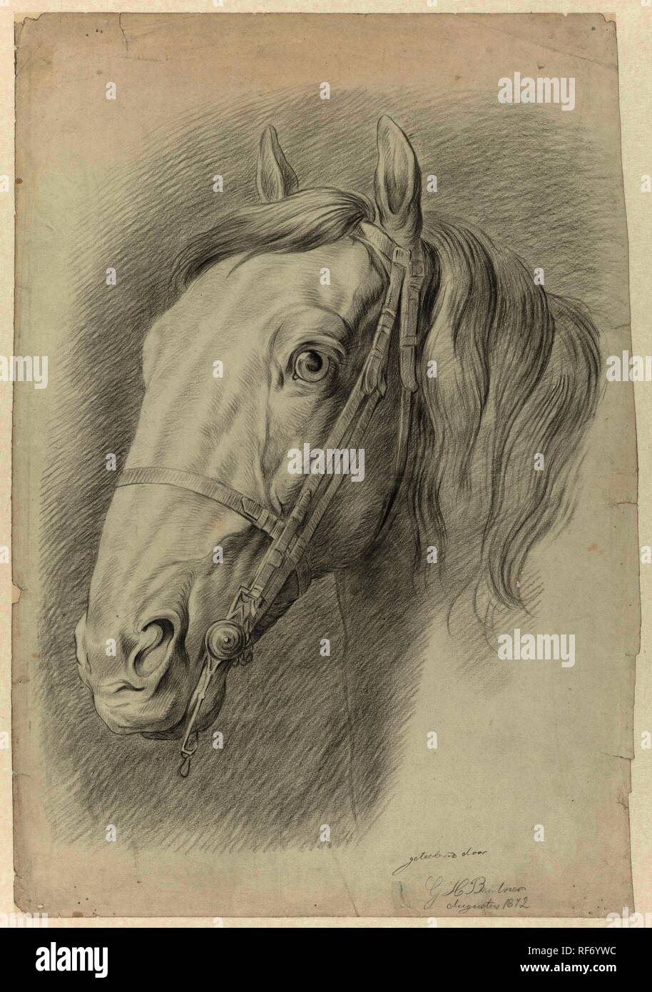 Head of a horse. Draughtsman: George Hendrik Breitner. Dating: Aug-1872 ...