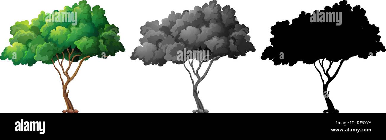 Set of tree design illustration Stock Vector Image & Art - Alamy