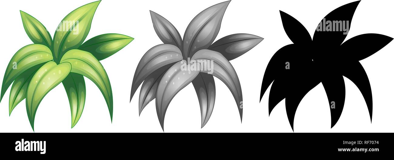 Set of isolated plant illustration Stock Vector Image & Art - Alamy