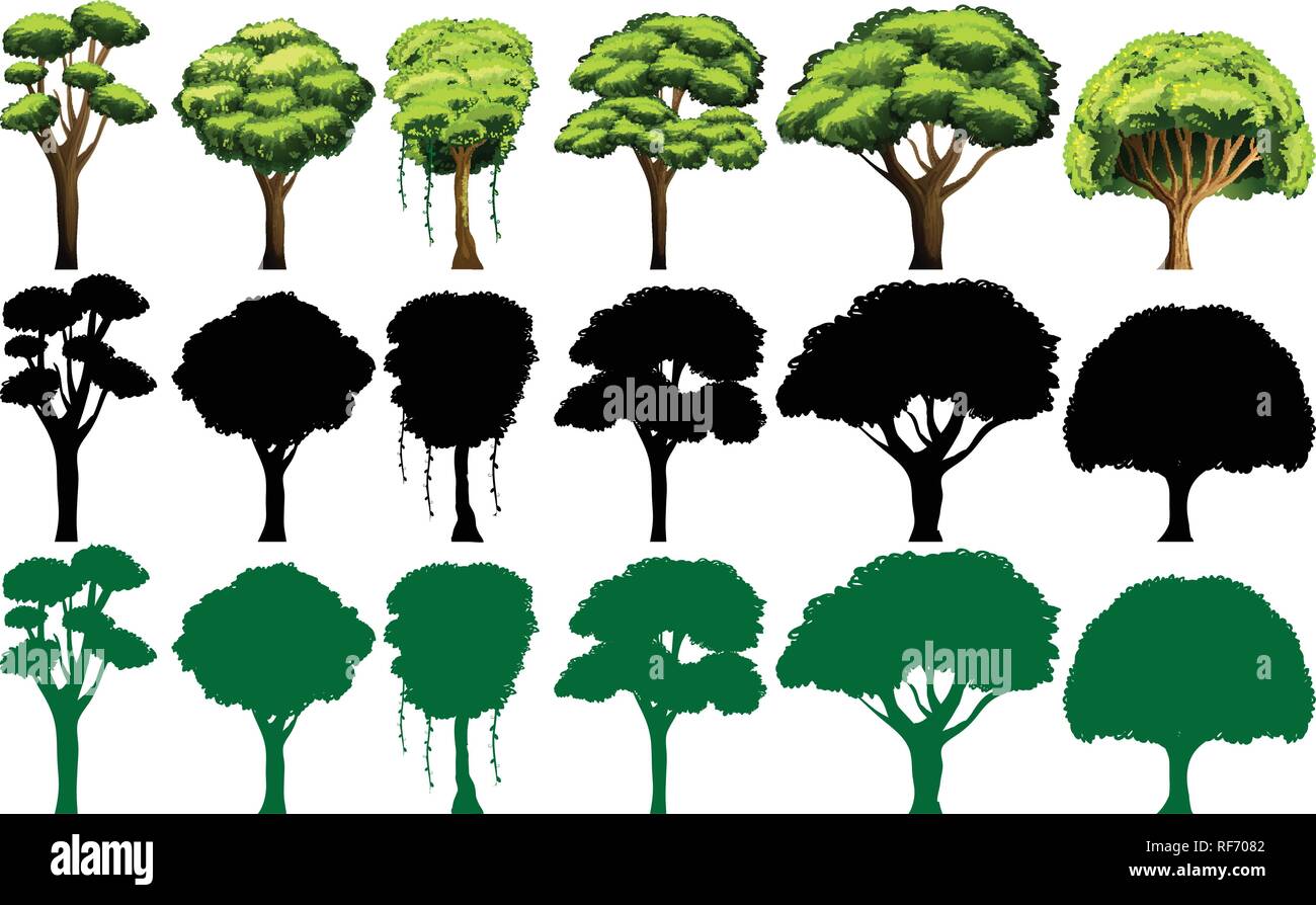 Set of different tree illustration Stock Vector Image & Art - Alamy