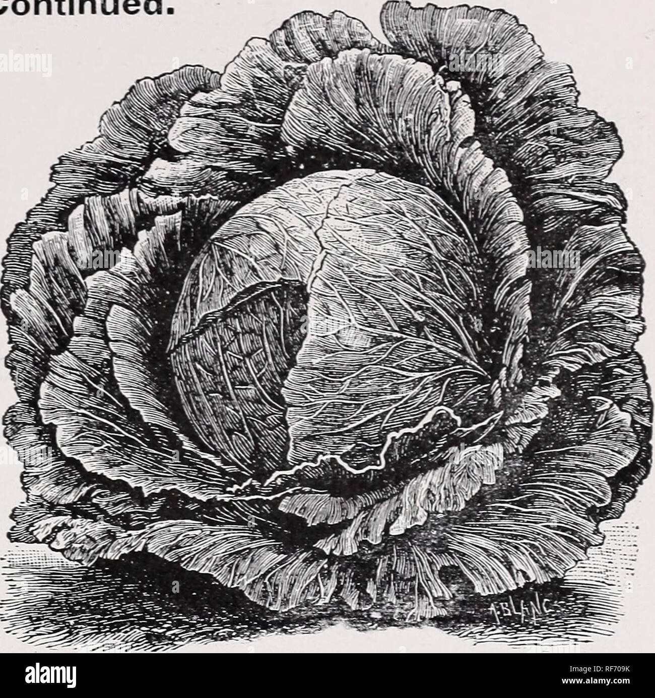 Possessed vegetables hi-res stock photography and images - Alamy