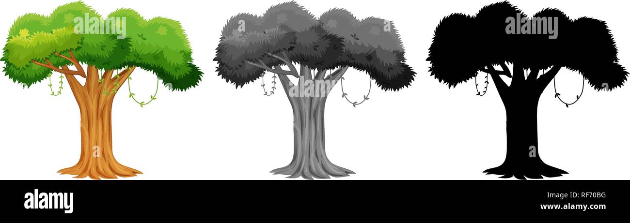 Set of tree design illustration Stock Vector Image & Art - Alamy
