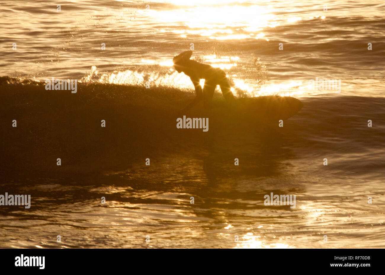 Surfers catching waves in sunset hi-res stock photography and images ...