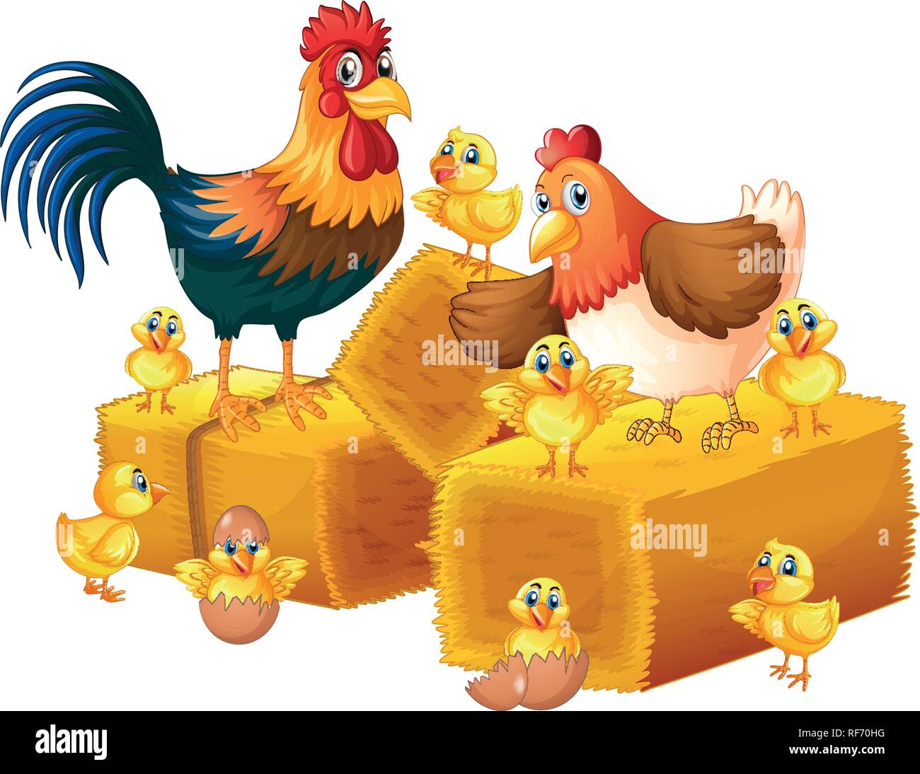 Chicken family on white background illustration Stock Vector Image ...