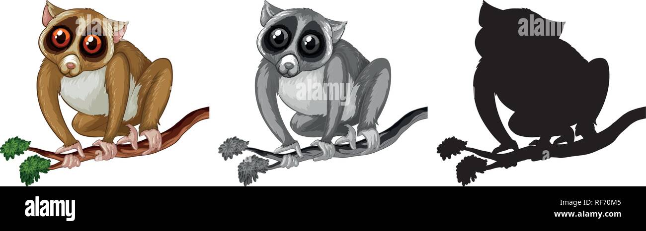 Set of loris character illustration Stock Vector Image & Art - Alamy