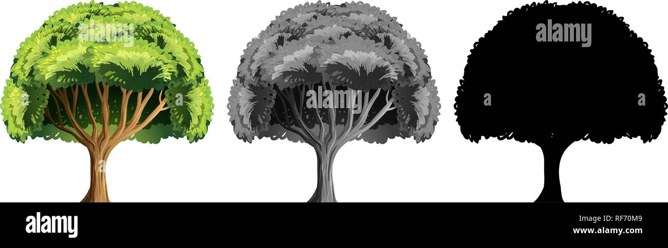 Set of big tree design illustration Stock Vector Image & Art - Alamy