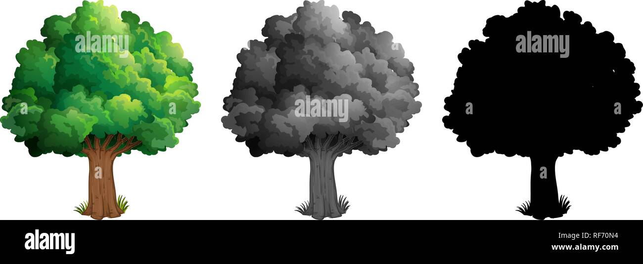 Set of tree design illustration Stock Vector Image & Art - Alamy