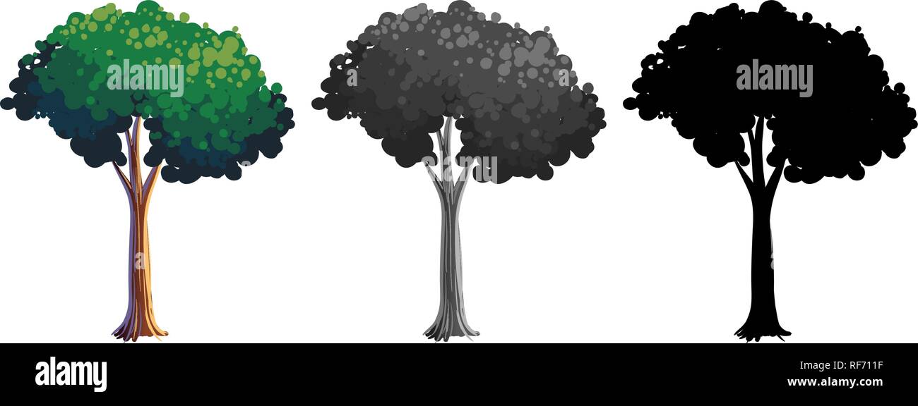 Set of isolated tree illustration Stock Vector Image & Art - Alamy