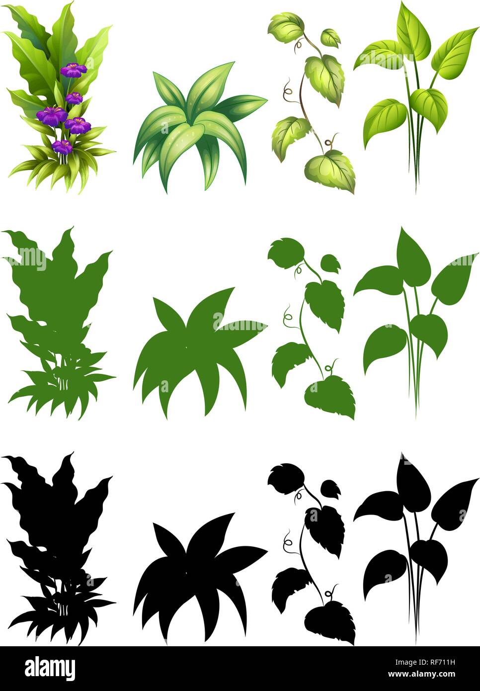 Set of plant design illustration Stock Vector Image & Art - Alamy