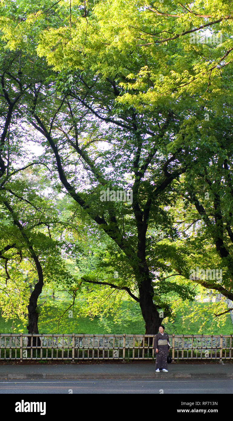 Chubu region traditional street hi-res stock photography and images - Alamy