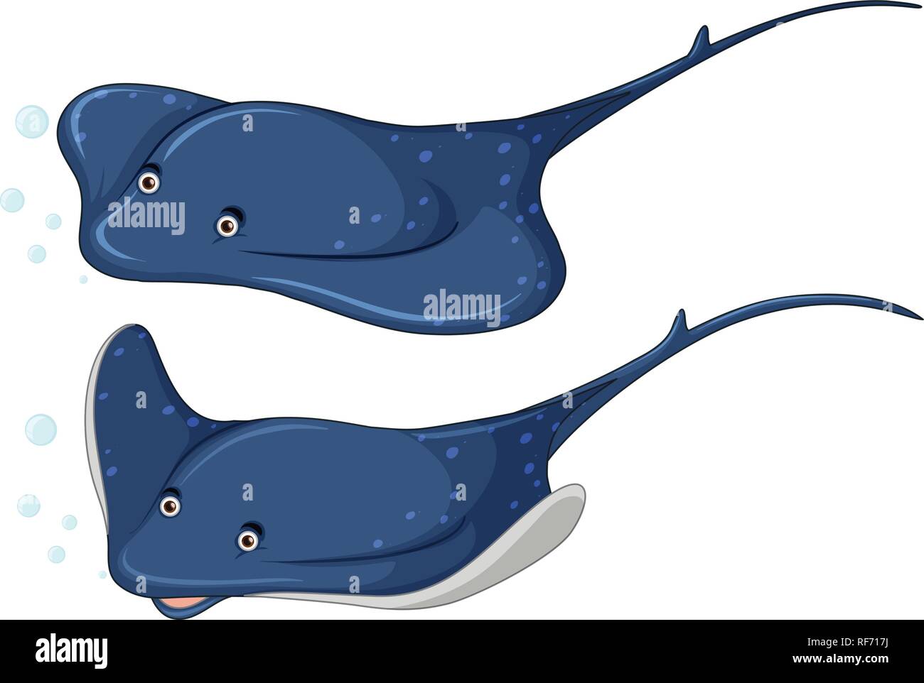 Set of stingray character illustration Stock Vector Image & Art - Alamy
