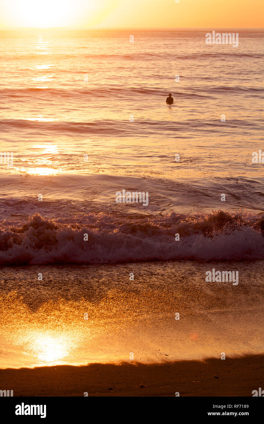 Surfing wading hi-res stock photography and images - Alamy