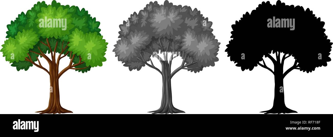 Set of different tree design illustration Stock Vector Image & Art - Alamy