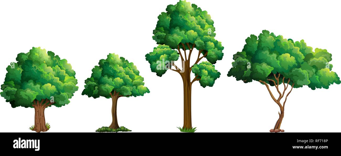 Set of different tree design illustration Stock Vector Image & Art - Alamy